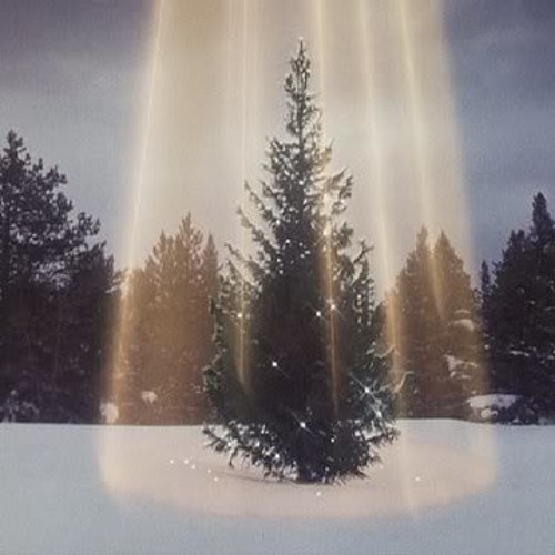 Stream Timothy Clay 1 music | Listen to songs, albums, playlists for ...