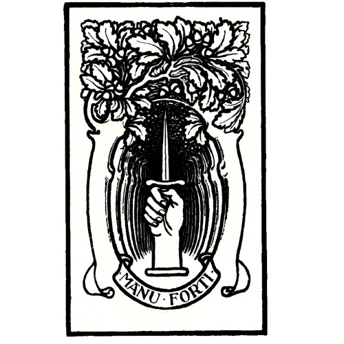 Stream Manu Forti Records music | Listen to songs, albums, playlists ...