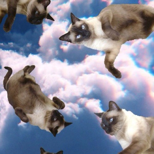 Stream kellyasian music | Listen to songs, albums, playlists for free ...