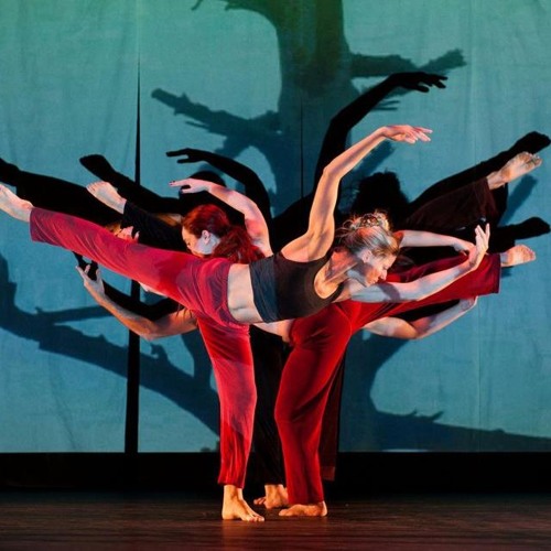 Stream Tim Nohe music | Listen to songs, albums, playlists for free on ...