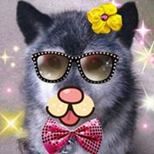 Stream Toru Tanabe music | Listen to songs, albums, playlists for free ...