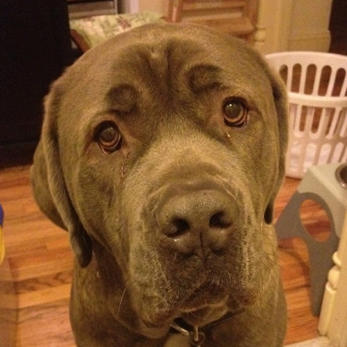 Stream Tyler Nevius 1 music | Listen to songs, albums, playlists for ...