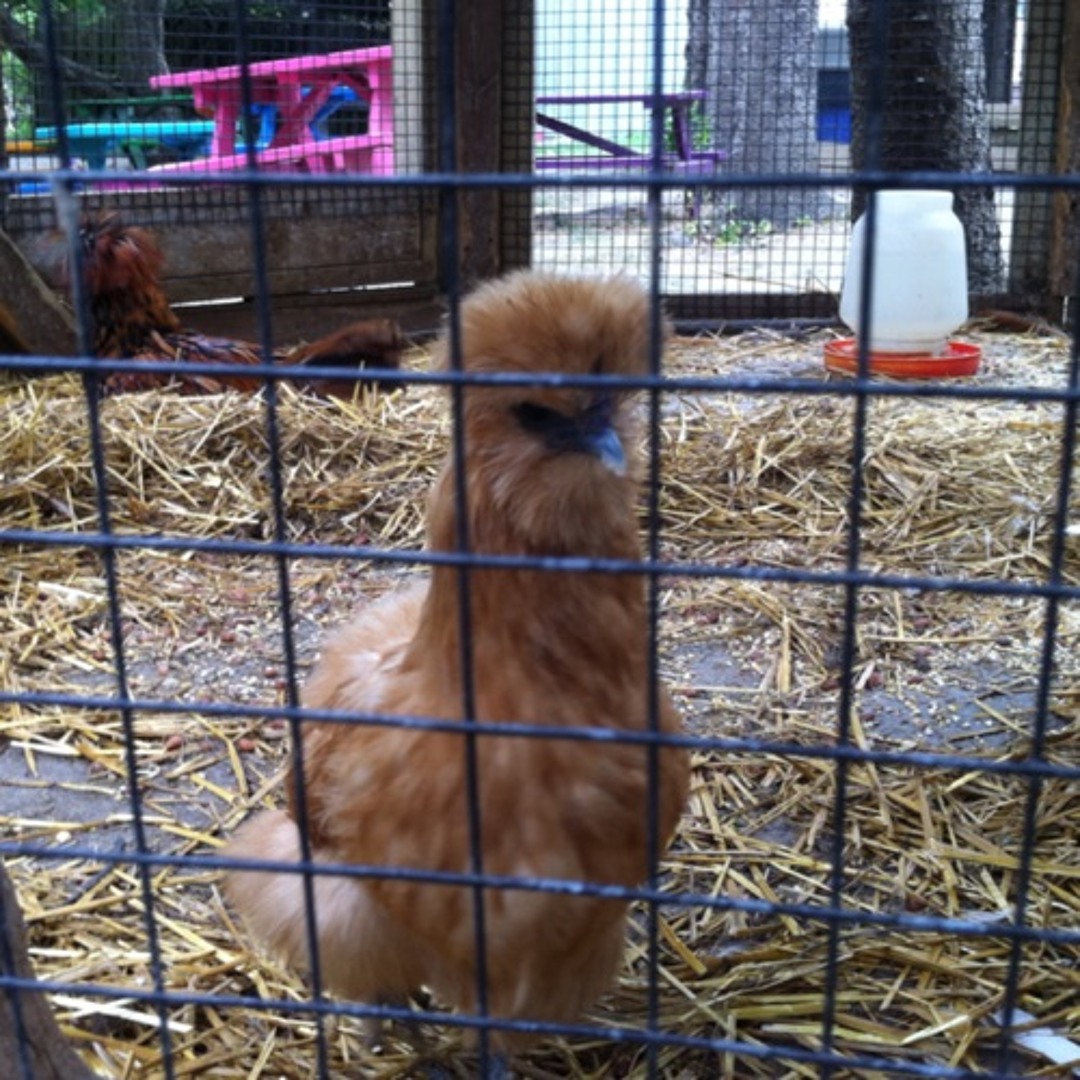 Stream Nhnj music | Listen to songs, albums, playlists for free on ...