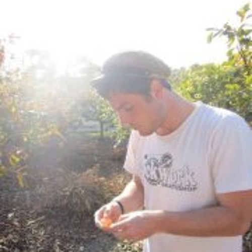 Stream Thomas Sandefur music | Listen to songs, albums, playlists for ...