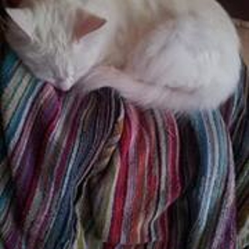 Stream Aloysius Thunder Cat music | Listen to songs, albums, playlists ...