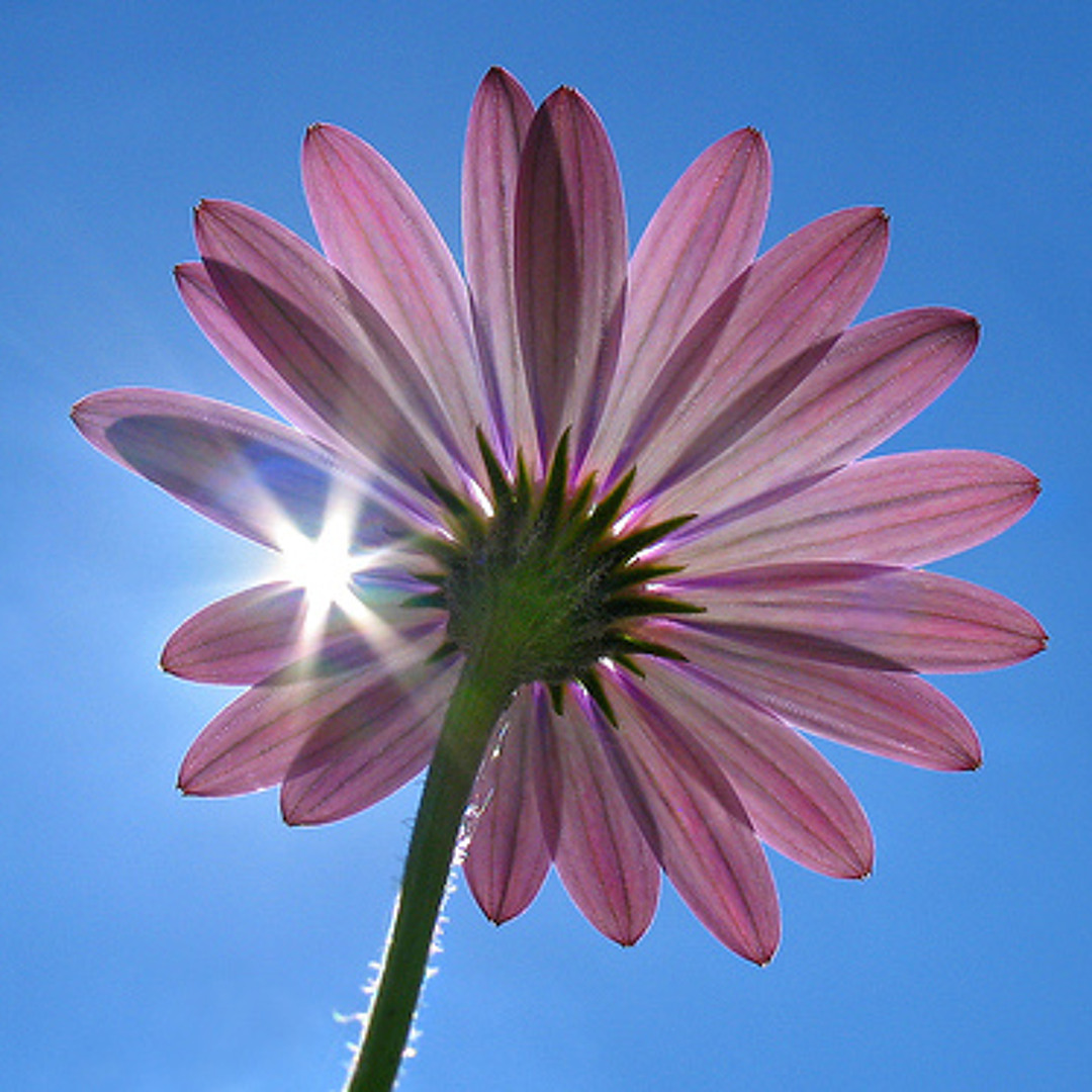 Stream أنشودة احنا نقدر للمنشد حمود الخضر - Humood Alkhudher by Raghad ...