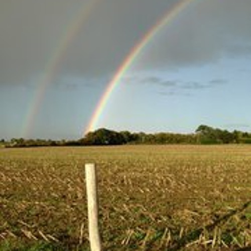 Stream Mathieu Buffet music | Listen to songs, albums, playlists for ...