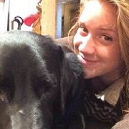 Stream Susan Presto music | Listen to songs, albums, playlists for free ...