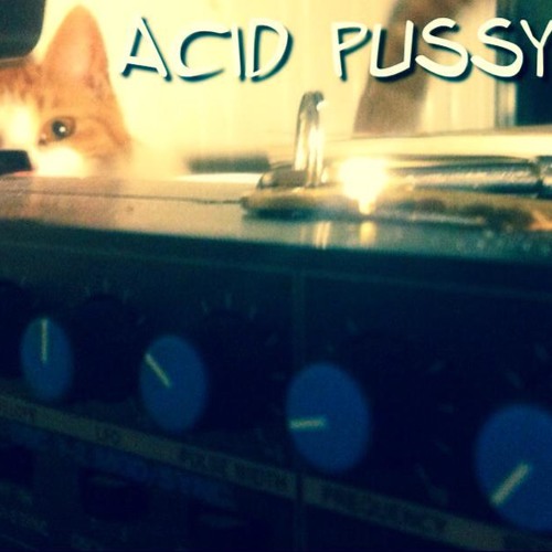 Stream Acid Pussy Music Listen To Songs Albums Playlists For Free On Soundcloud