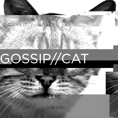 Stream GOSSIP//CAT music | Listen to songs, albums, playlists for free ...