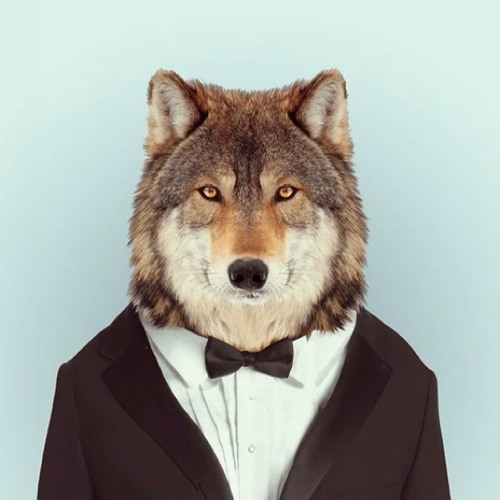 Stream DarK-Beowulf music | Listen to songs, albums, playlists for free ...