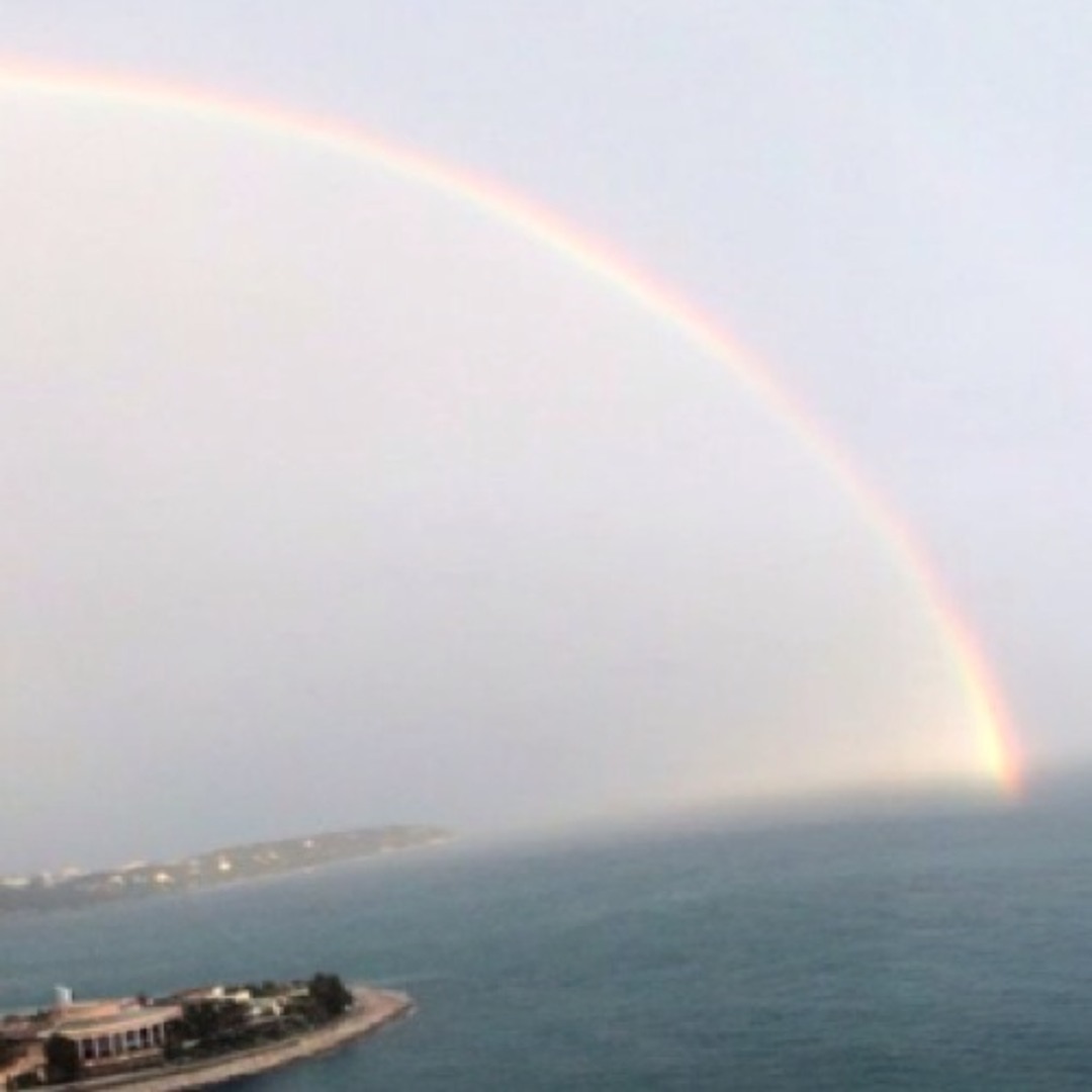 Stream Class 4B CS FN Wombat by ISMPerformingArts | Listen online for ...