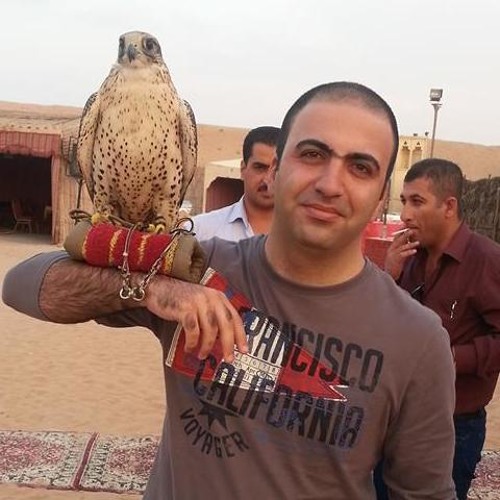 Stream Siavash Shams Remix by Babak Chabok | Listen online for free on ...