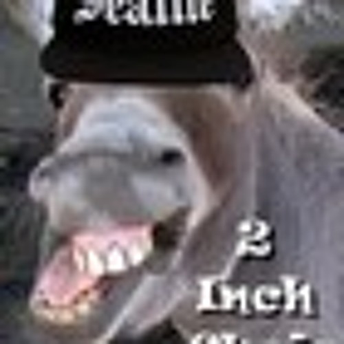 Stream 2 Inch Chris music | Listen to songs, albums, playlists for free ...