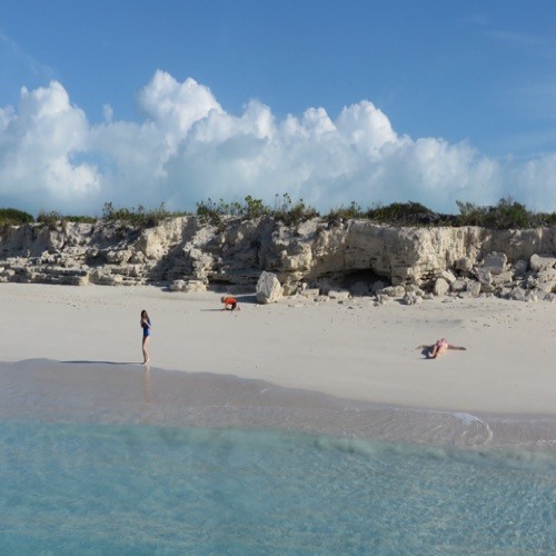 Stream Hilary Rosen music | Listen to songs, albums, playlists for free ...