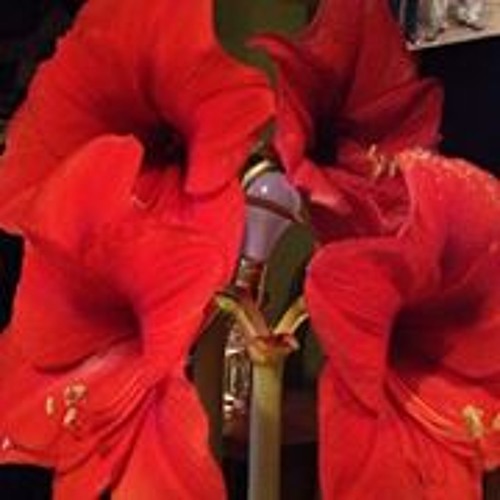 Stream Maria Rivera 99 music | Listen to songs, albums, playlists for ...