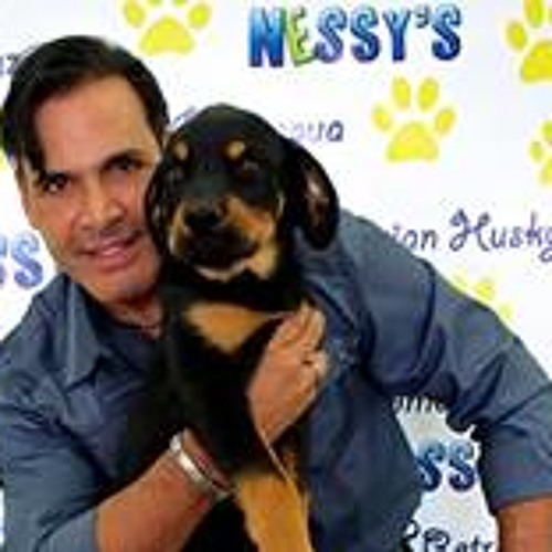 Stream Johnny Nessy music | Listen to songs, albums, playlists for free ...