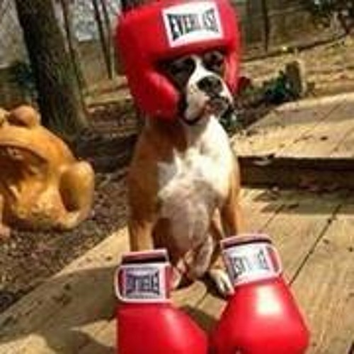 Stream Shane Copeland 1 music | Listen to songs, albums, playlists for ...