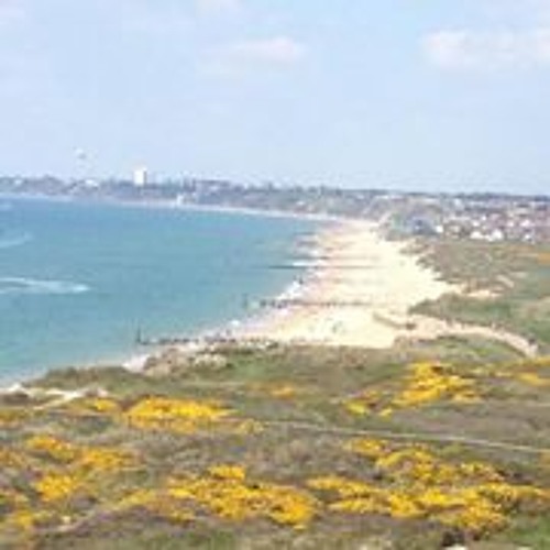 Stream Stuart Shacklock 1 music | Listen to songs, albums, playlists ...