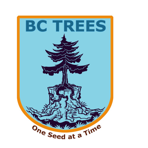 Stream The BC Trees music | Listen to songs, albums, playlists for free ...