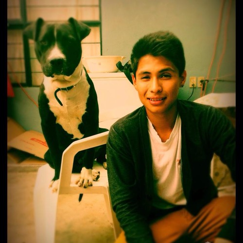 Stream roberto carlos calixto music | Listen to songs, albums ...