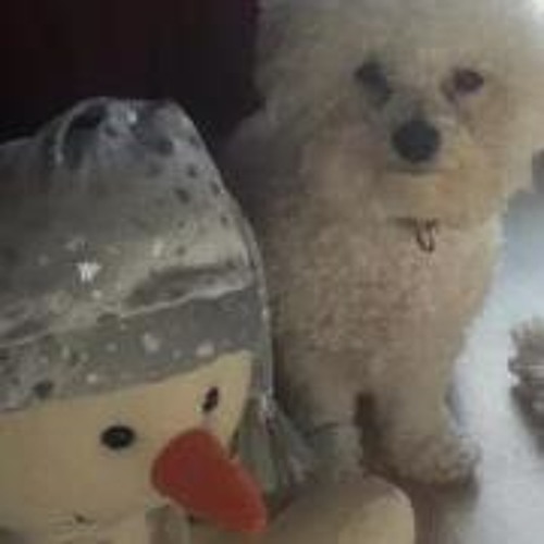 Stream Tracy Beaton music | Listen to songs, albums, playlists for free ...