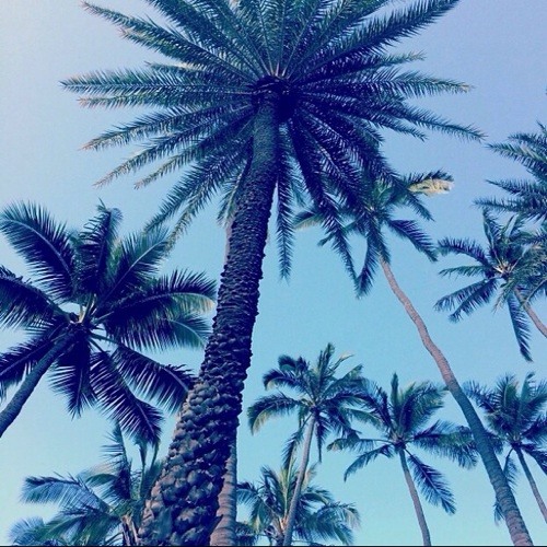 Stream Sayuri.h music | Listen to songs, albums, playlists for free on ... Stream Sayuri.h music | Listen to songs, albums, playlists for free on ...