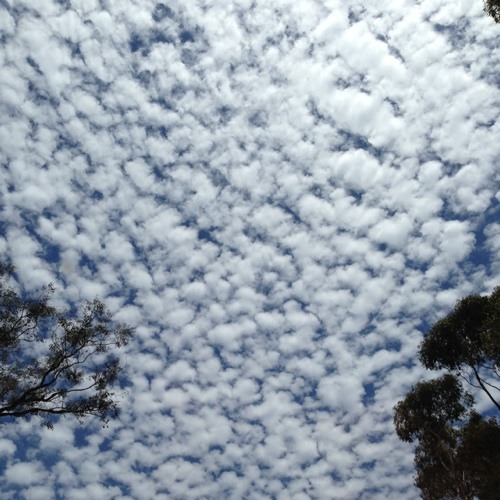 Stream Connor Heimer music | Listen to songs, albums, playlists for ...