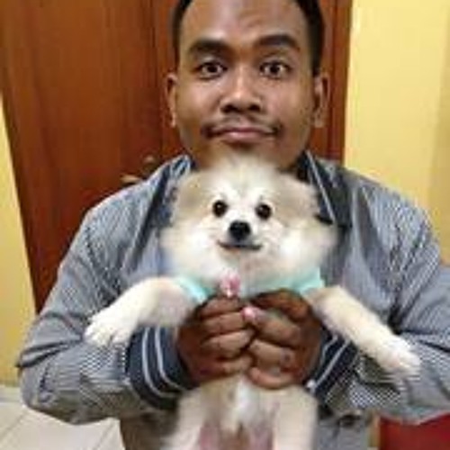 Stream Citra Primayuda music | Listen to songs, albums, playlists for ...