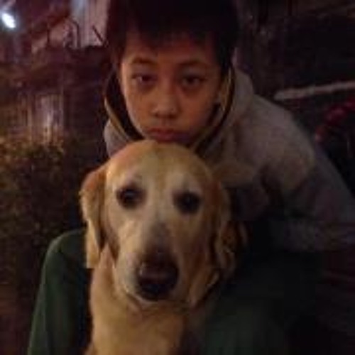 Stream Wu Bohan music | Listen to songs, albums, playlists for free on ...