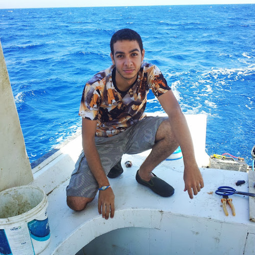 Stream Sounds from Wednesday night by nader gamal 13 | Listen online for free on SoundCloud