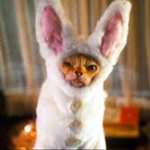 Stream Daniela..Ray music | Listen to songs, albums, playlists for free ...