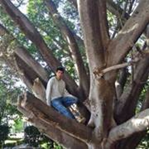Stream Hector Villa 10 music | Listen to songs, albums, playlists for ...