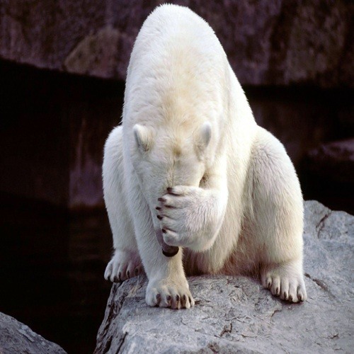 Stream FACEPALM music | Listen to songs, albums, playlists for free on ...