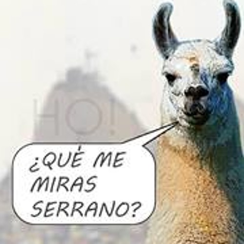 Stream Edwin Johel Angulo Quiroz music | Listen to songs, albums ...