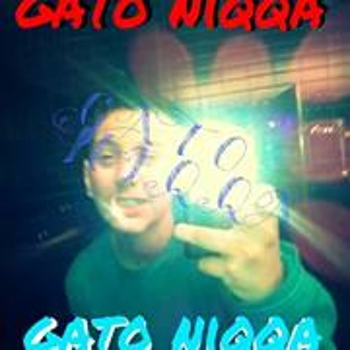 Stream Little Gato 1 music | Listen to songs, albums, playlists for ...