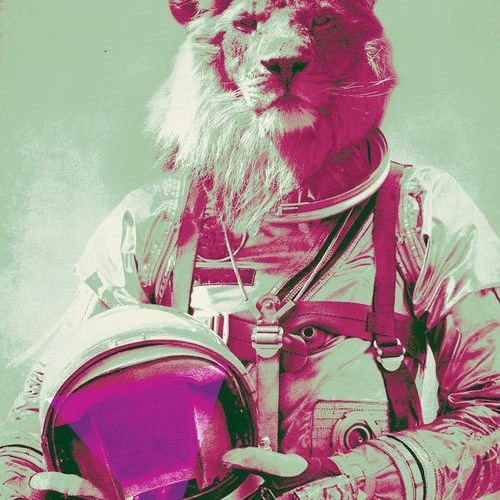 Stream Oliver Strasser music | Listen to songs, albums, playlists for ...