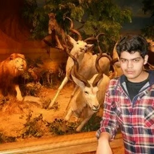 Stream Musa Hayat 2 music | Listen to songs, albums, playlists for free ...