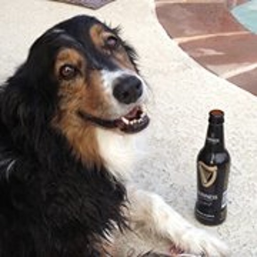 Stream Jordan Locke 5 music | Listen to songs, albums, playlists for ...