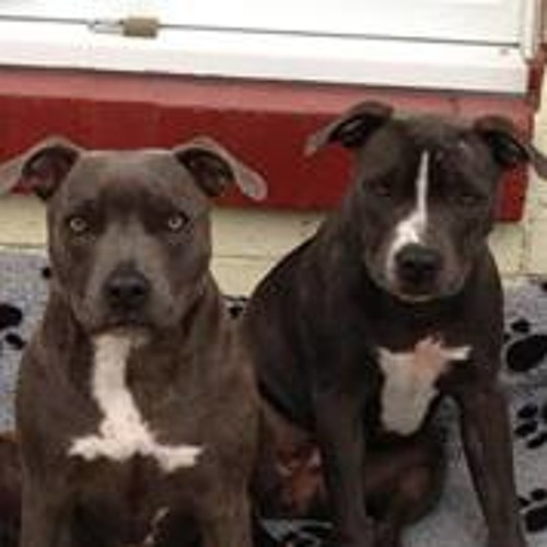 Stream Stephen Mcknight 7 music | Listen to songs, albums, playlists ...