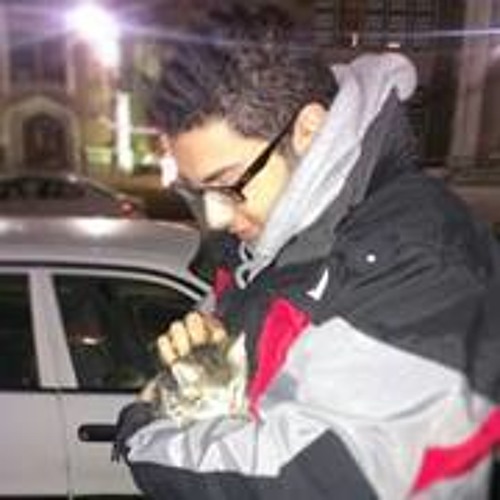 Stream Fady TL Michael music | Listen to songs, albums, playlists for ...