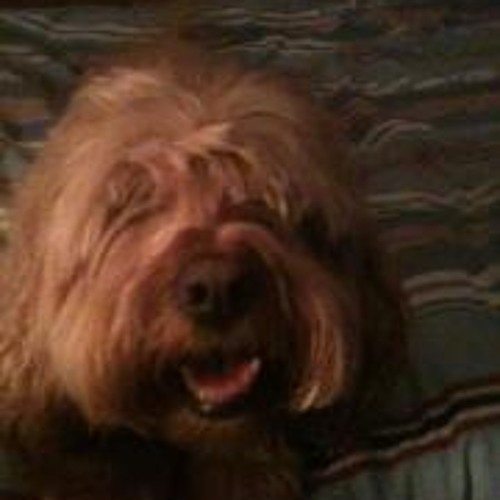 Stream Robert Brunk | Listen to Ralph Rosario - 'People are still ...