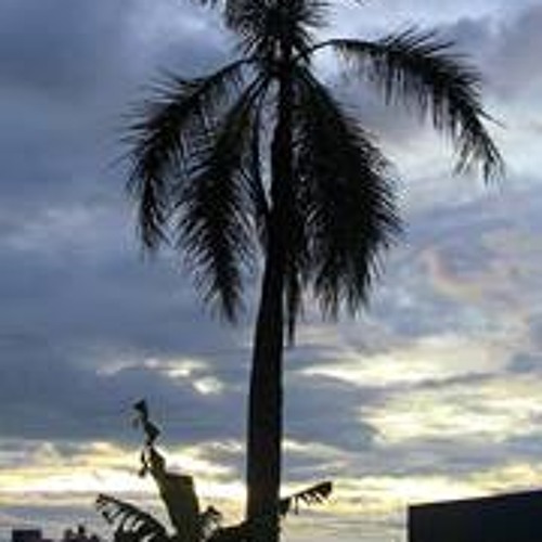 Stream Merle music | Listen to songs, albums, playlists for free on ...