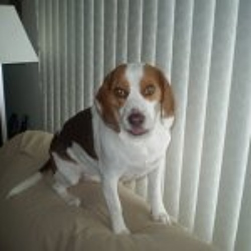 Stream Timothy James Slama music | Listen to songs, albums, playlists ...