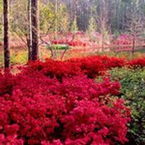 Stream Maha Helmy 5 music | Listen to songs, albums, playlists for free ...