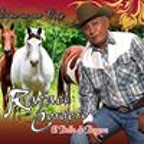 Stream Pollo De Payara Music Listen To Songs Albums Playlists For