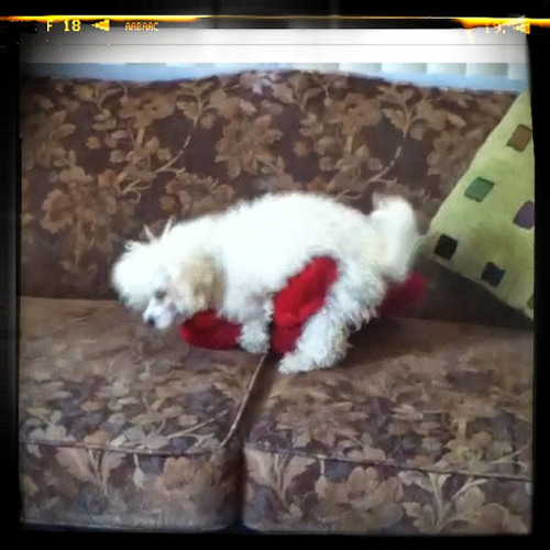 Stream Gavin Downard music | Listen to songs, albums, playlists for ...