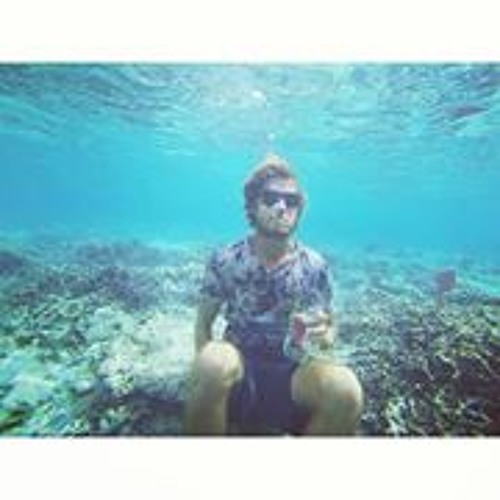 Stream Dylan de Wit 2 music | Listen to songs, albums, playlists for ...