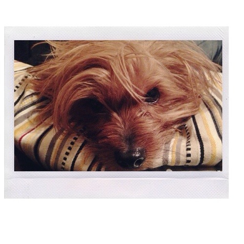 Stream Ciara Lopez music | Listen to songs, albums, playlists for free ...