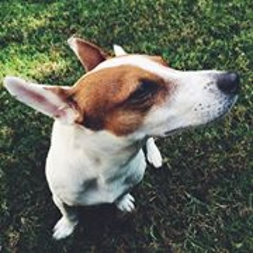 Stream Milo J. Russell music | Listen to songs, albums, playlists for ...